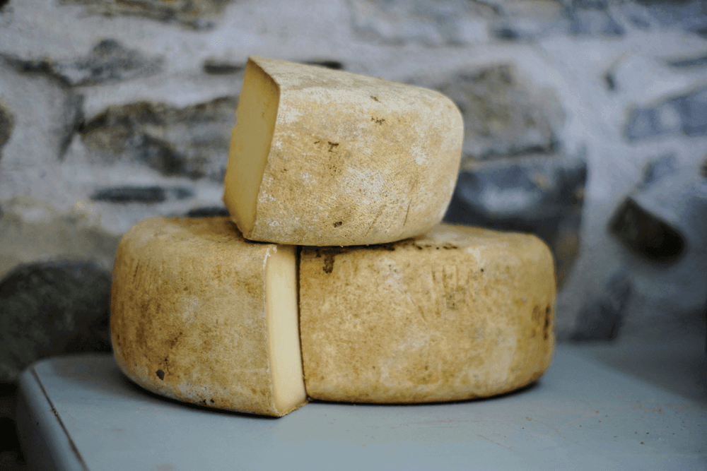 L’histoire du fromage en France : Une tradition unique et savoureuse ...