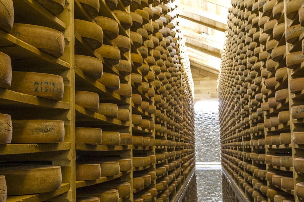 Le Comté AOP : L'Or Jaune du Jura et le Secret des Fruitières ...